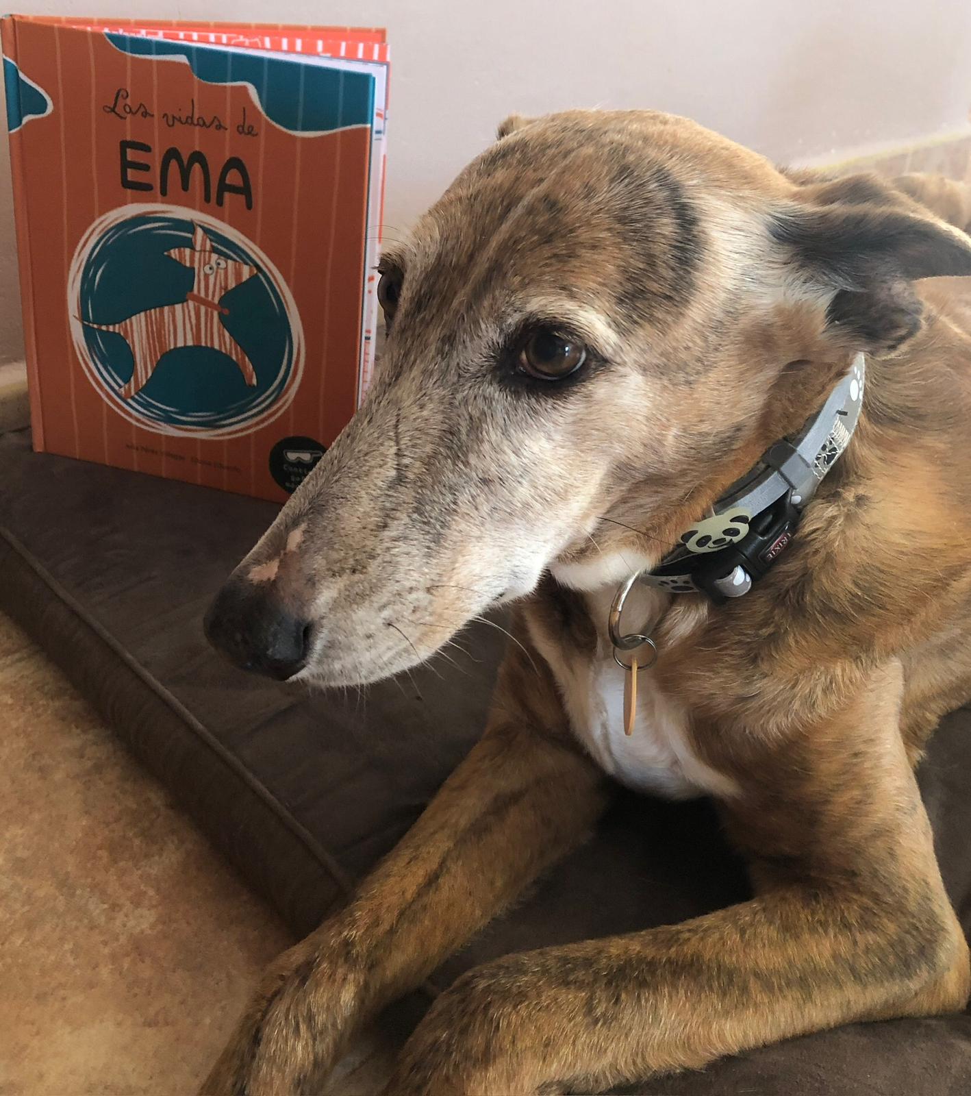 Conoce la verdadera historia de Ema. – Tu cuento y tu